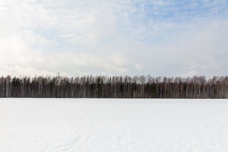 Clear Snowy Field with a Strip of Forest and a Cloudy Sky. Winter ...