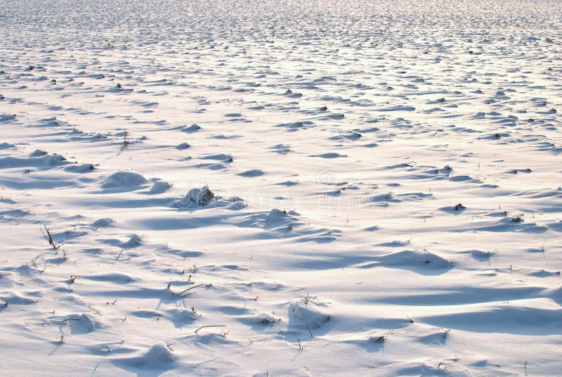 Snowy field stock image. Image of winter, snow, background - 51124673