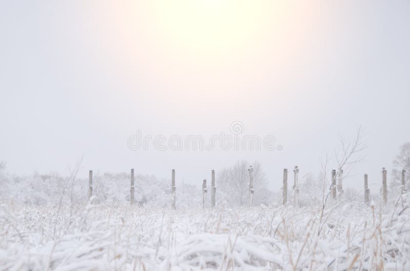 Snowy Field with Plants and Cement Pillars and Sun Above in Winter ...