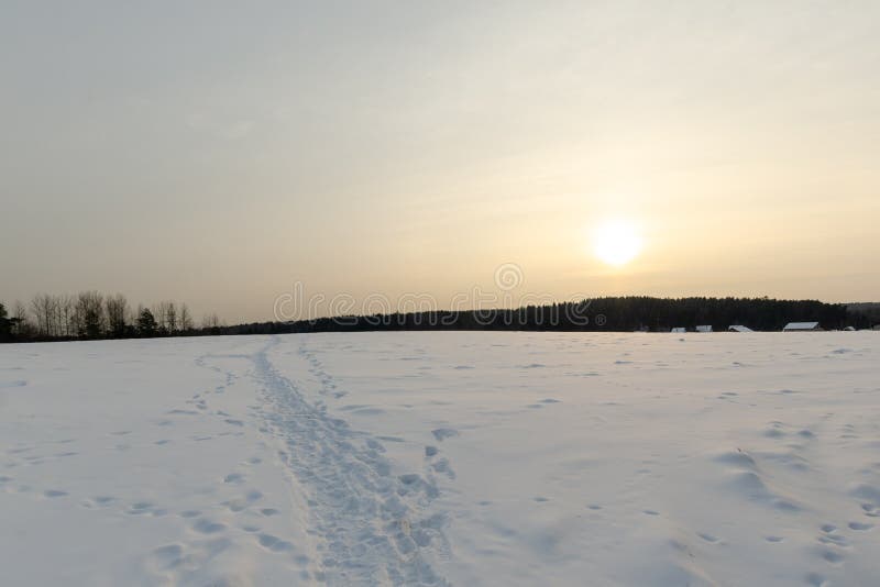 Sunset at Distant Edge of Lake Stock Image - Image of lake, covered ...