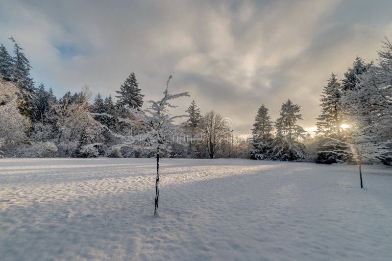 Snowy Field at Sunset stock image. Image of open, field - 88948463