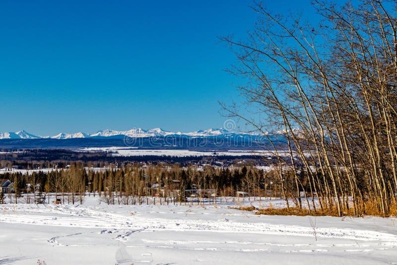 Snowy Field and Tree Line. Springbank,Alberta,Canada Stock Image ...