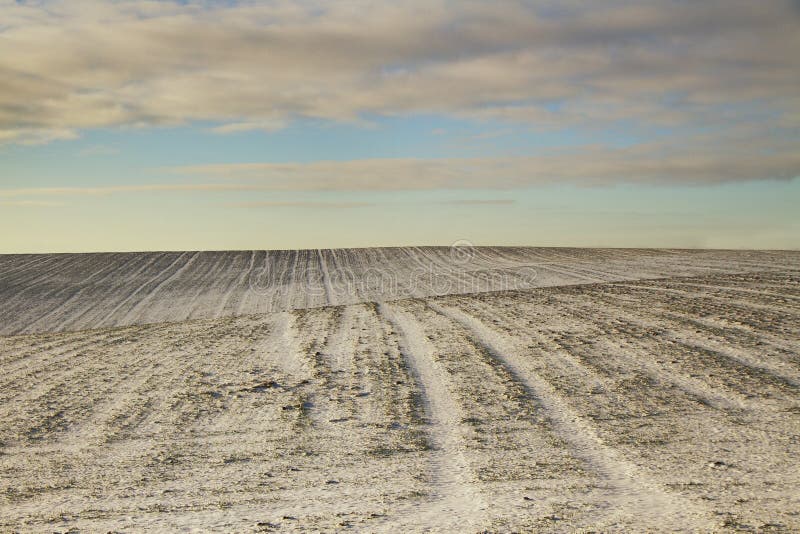 Snowy field. stock photo. Image of farm, farming, crop - 50340814