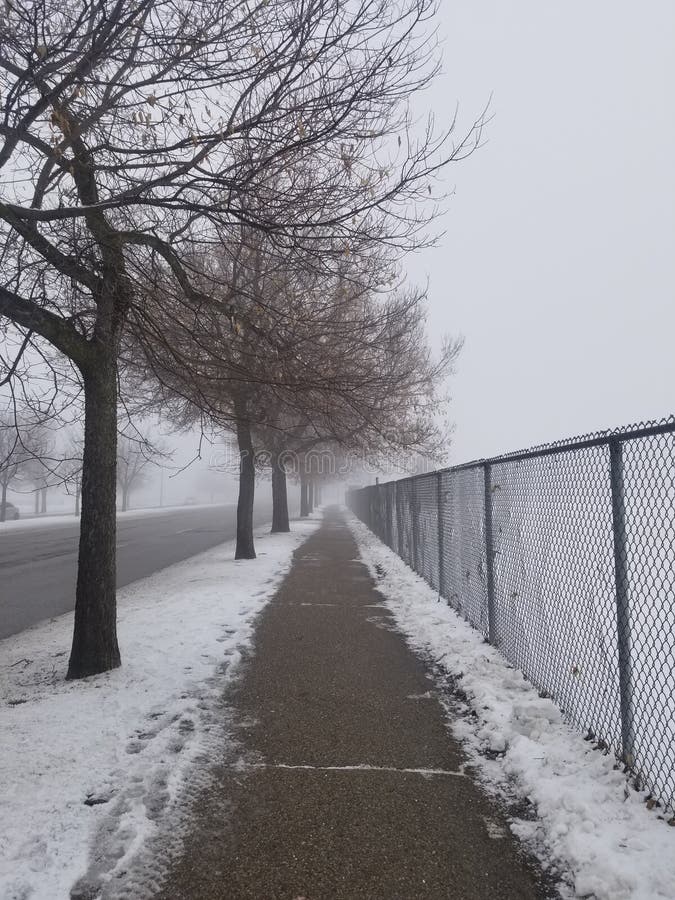 Snowy and Foggy Day in March Stock Image - Image of tree, snow: 243510223
