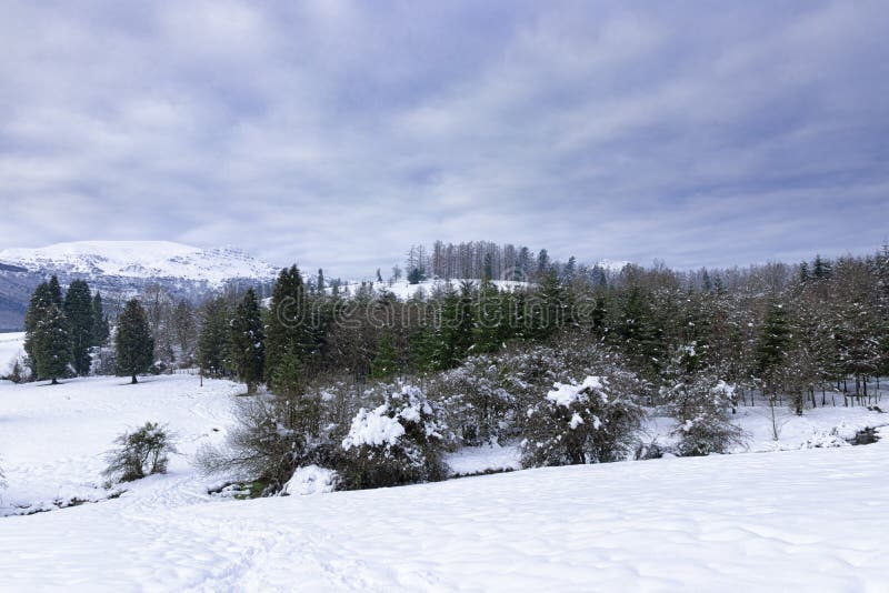 Snowy Forest on Mount Gorbea in Northern Spain Stock Image - Image of ...