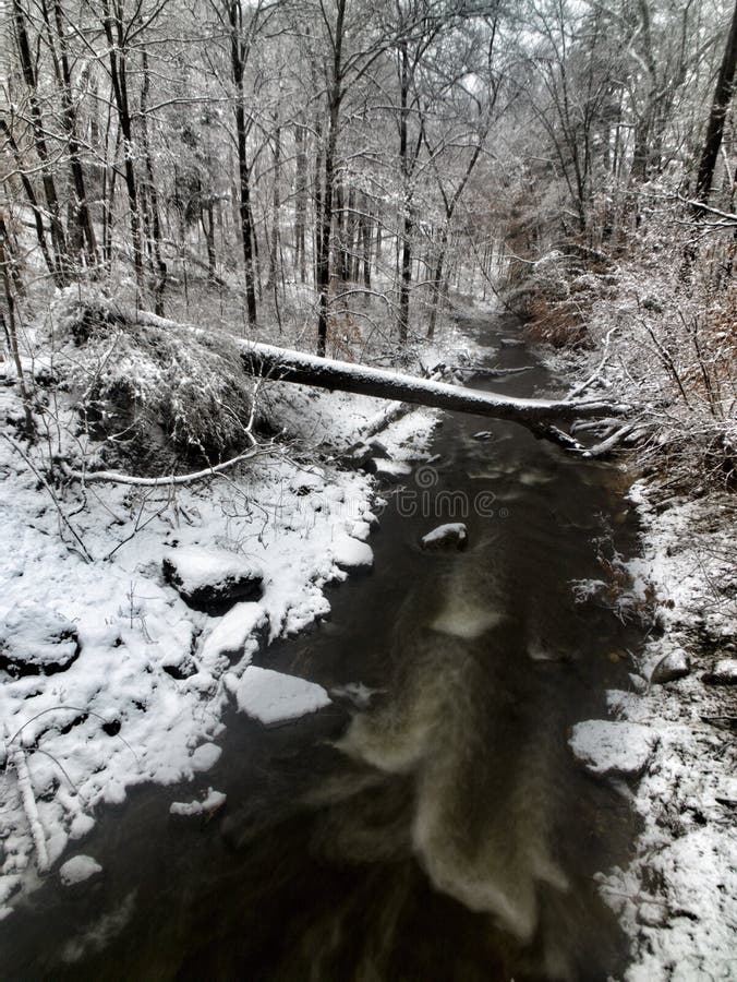 Snowy forest stream stock photo. Image of winding, forest - 111611712