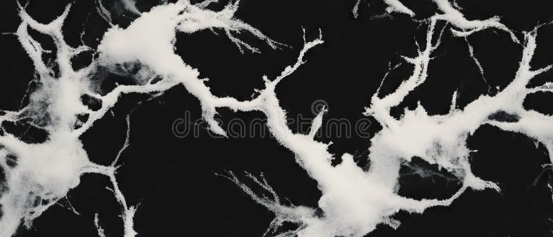 Snowy Forest Texture Featuring Trees and Branches in a Black Background ...