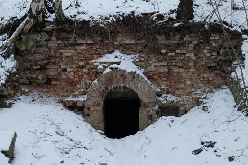 A Snowy Forest Tunnel Surrounded by Tall Trees and Heavy Snowfall Stock ...