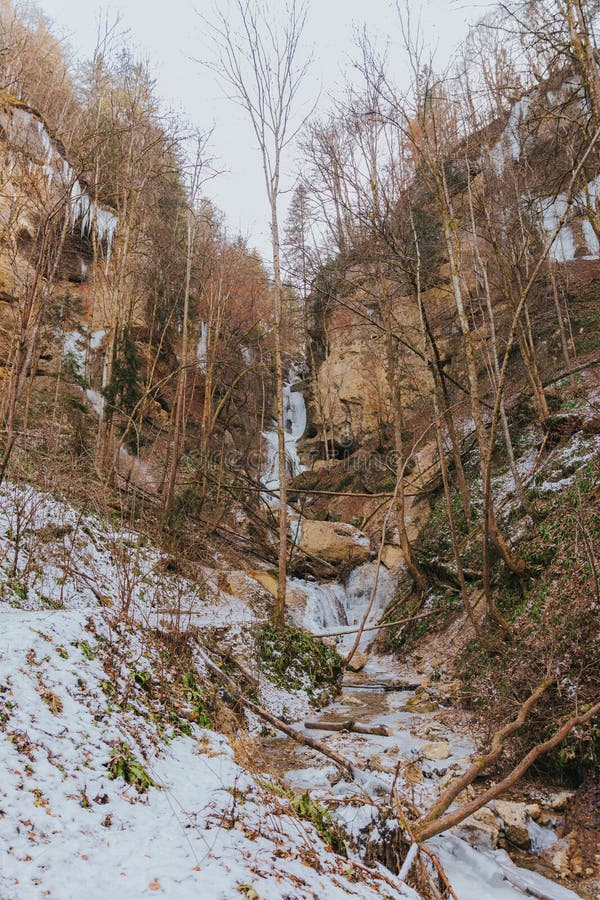 Winter Scenery with a Snowy Forest in the Background and Waterfall on ...