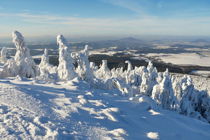 Snowy Frosted Trees. Abstract Formations Stock Image - Image of wild ...