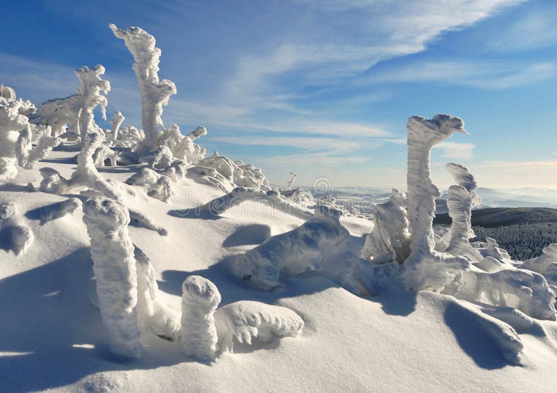 Snowy Frosted Trees. Abstract Formations Stock Photo - Image of scenery ...