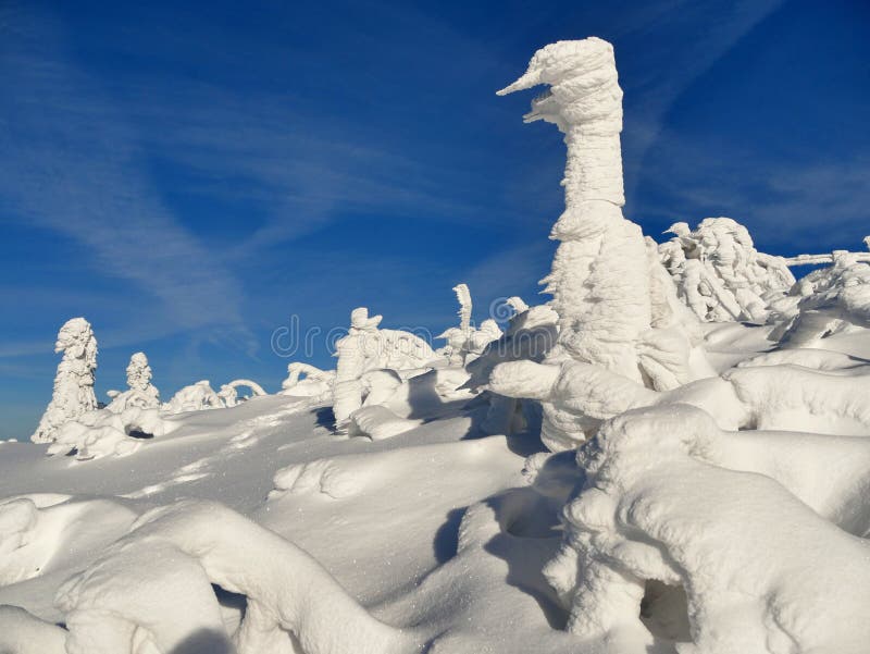 Snowy Frosted Trees. Abstract Formations Stock Image - Image of beauty ...