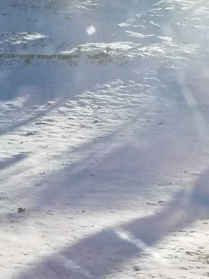 Snowy Ground Texture Glittering In Sunlight With Dry Grass Starring Out ...