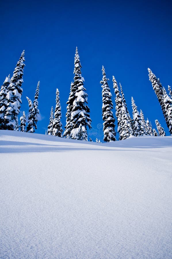 Snowy hill stock image. Image of trees, crystal, blue - 28439747