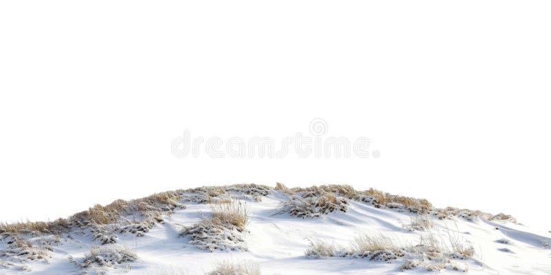 Snowy Hill with Dry Grass Isolated on Transparent Background Stock ...