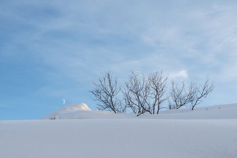 Snowy hills and trees. stock image. Image of fresh, blue - 88507507