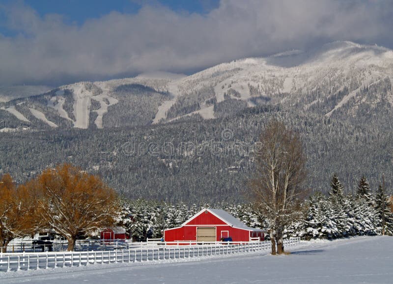 Snowy Ranch and Horses stock photo. Image of snowing, winter - 7780420