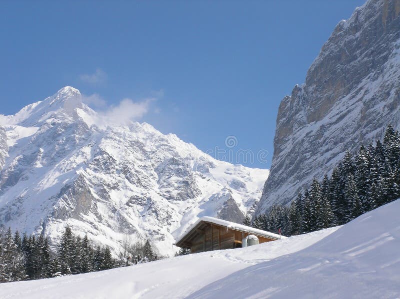 Snowy Hut stock photo. Image of calm, pine, cold, covered - 1824950