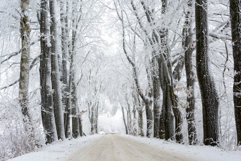 Snowy and Icy Road during Heavy Snow Fall Stock Photo - Image of hill ...