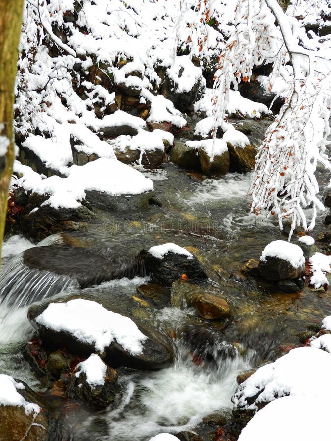 Snowy Idyll in the Forest Stream Stock Image - Image of water, autumn ...