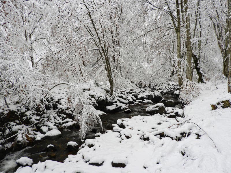 Snowy Idyll in the Forest Stream Stock Photo - Image of freezing ...