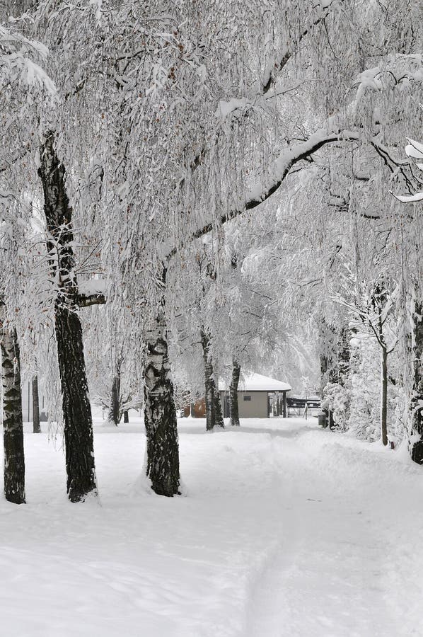Snowy landscape stock photo. Image of depression, lake - 11805706