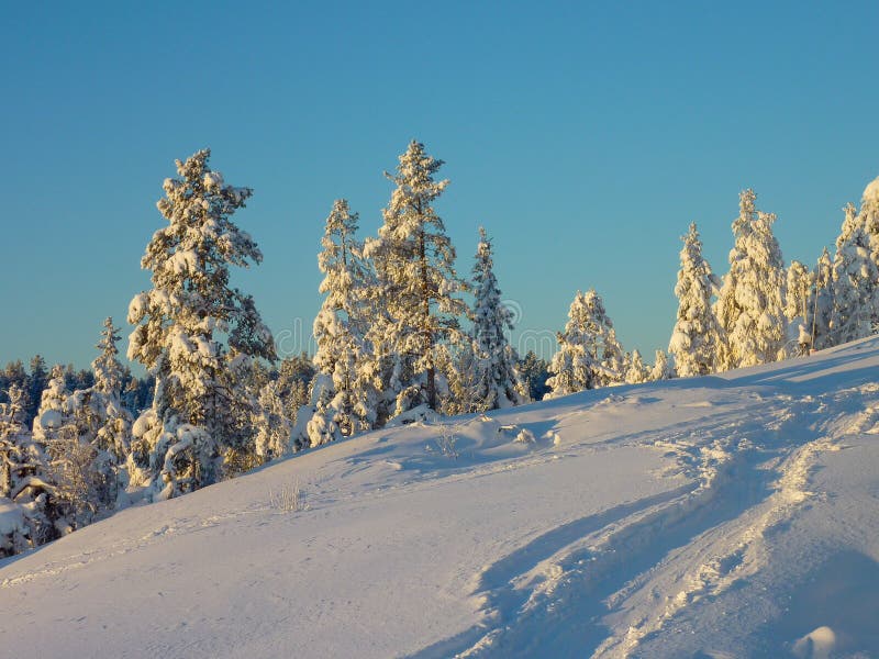 Snowy landscape stock photo. Image of snow, outdoor, crystal - 13250358