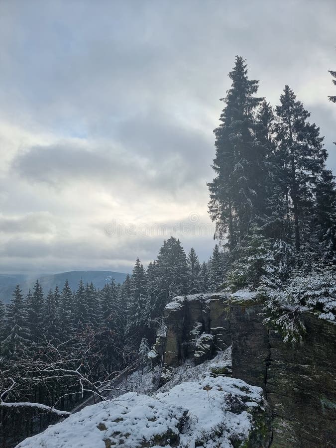 Snowy Landscape, Cliffs and Trees in the Woods Stock Photo - Image of ...