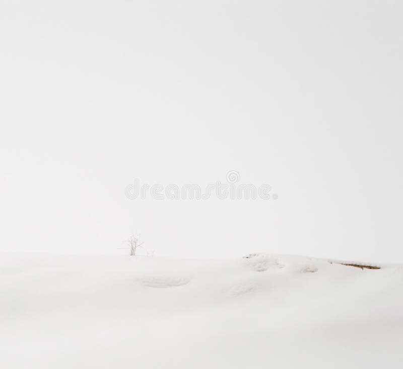 Snowy Landscape of an Empty Field Stock Image - Image of snow, purity ...