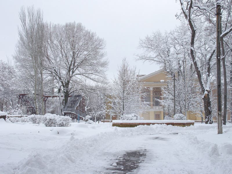 A Snowy Landscape with Trees and a Building, Overcast Sky Suggesting ...