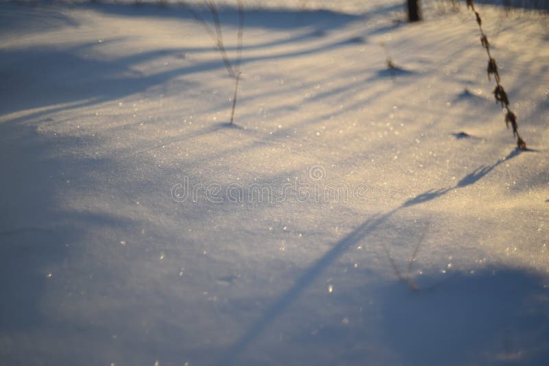 Snowy Landscapes and Snow Close-up in Sunbeams. Grass and Objects in ...