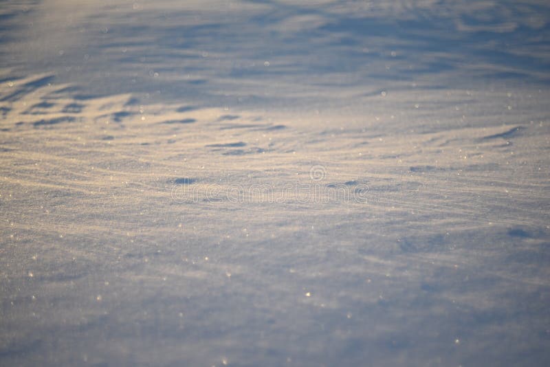 Snowy Landscapes and Snow Close-up in Sunbeams. Grass and Objects in ...