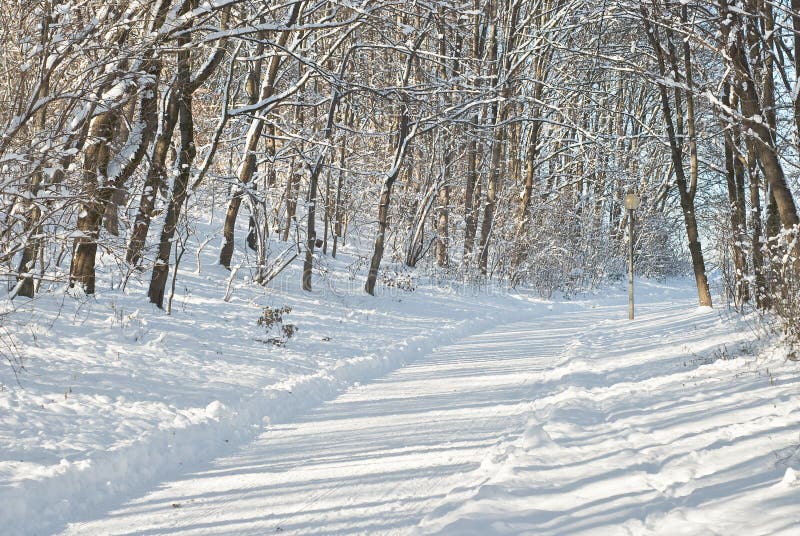 Snowy Lane stock image. Image of hike, country, countryside - 28218219