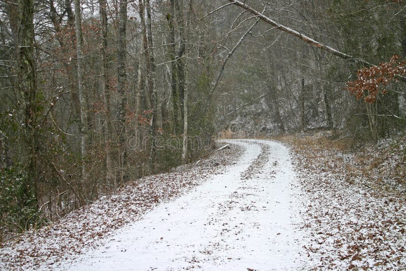 Snowy Lane stock image. Image of forest, rural, lane - 37238917