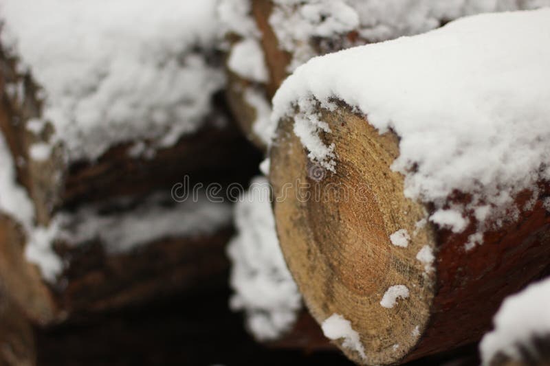 Snowy Log End Texture stock image. Image of natural - 359093181