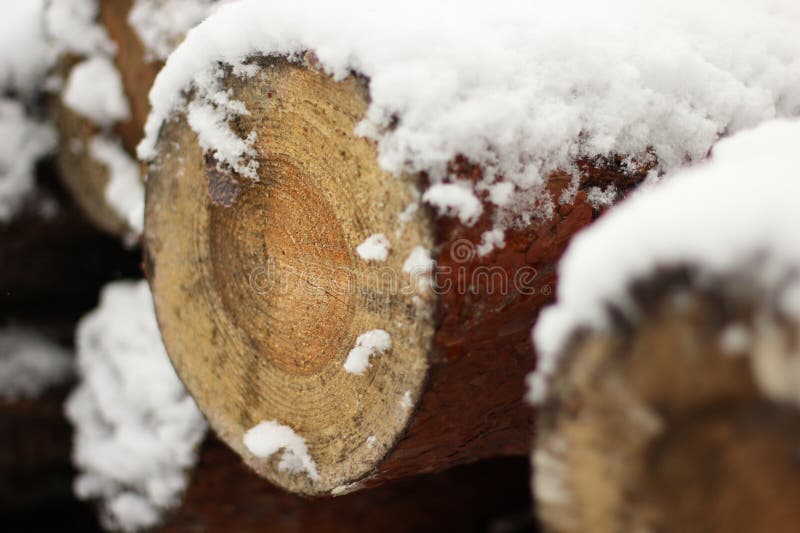 Snowy Log End Texture stock image. Image of renewable - 359093185
