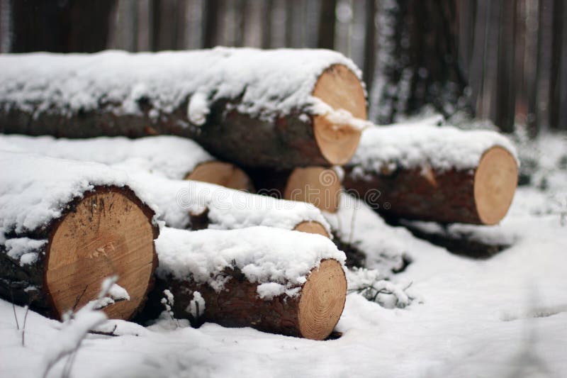 Snowy Log End Texture stock image. Image of texture - 359093235