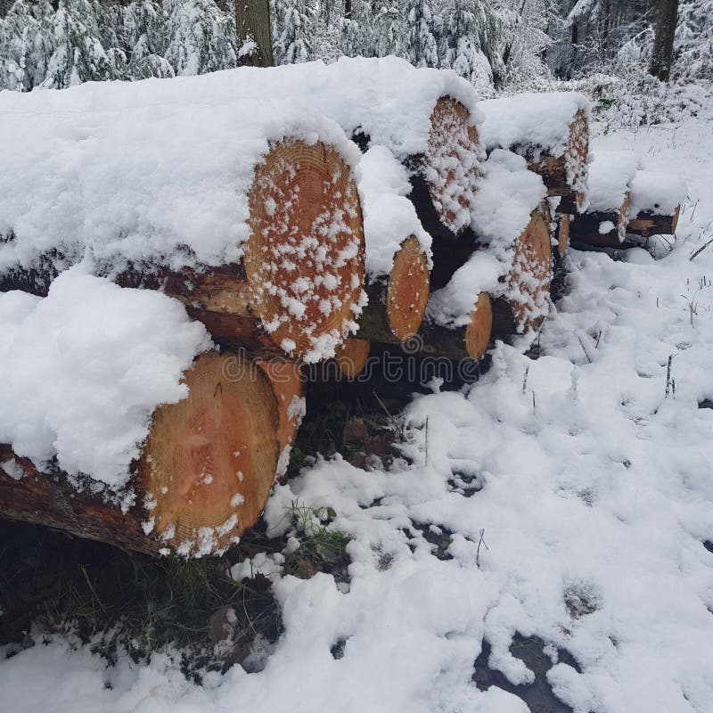 Snowy log pile stock photo. Image of snowy, christmas - 105588870