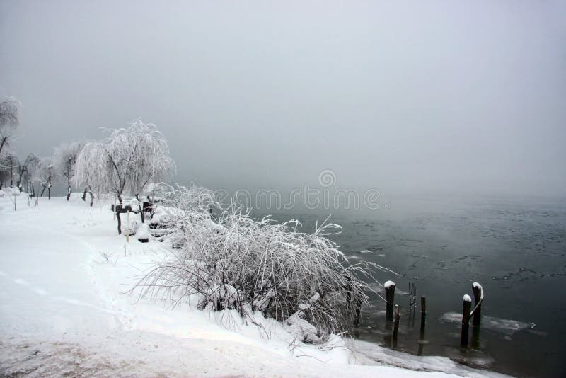 Misty Picture. Image: 1366375