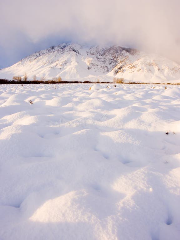 Snowy Morning stock image. Image of cloud, christmas, card - 436675