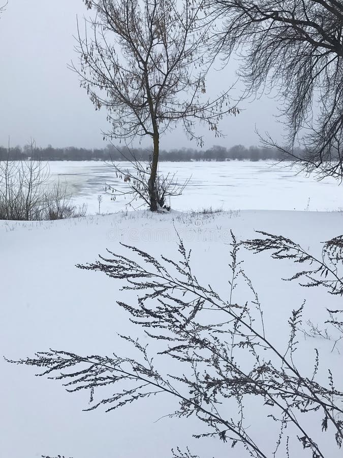 Snowy Morning in the Sun in the Winter Stock Photo - Image of house ...
