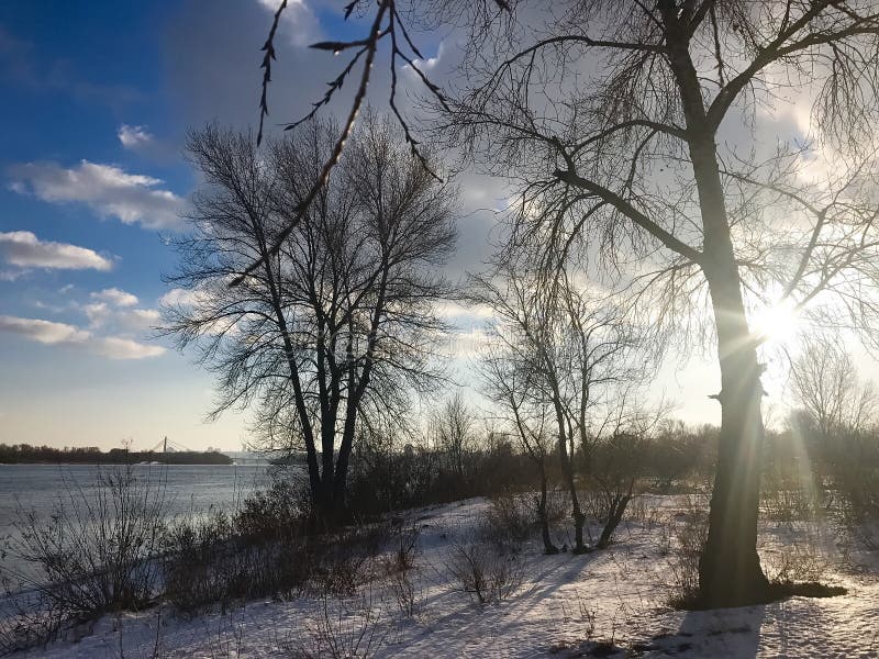 Snowy Morning in the Sun in the Winter Stock Photo - Image of park ...