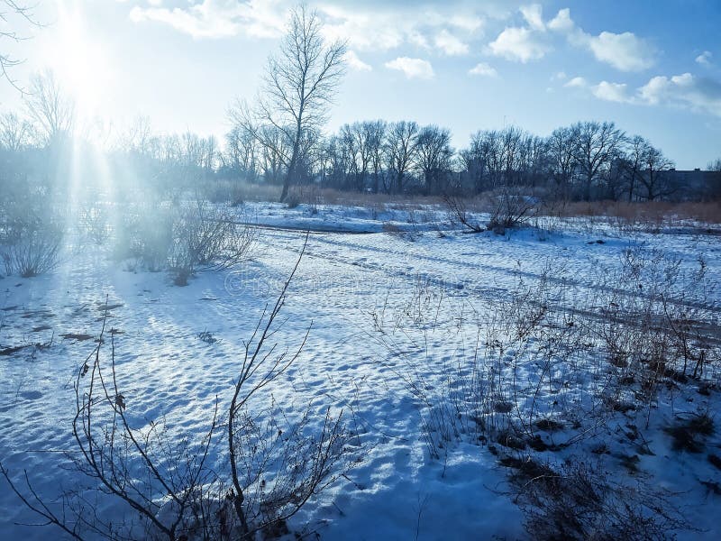 Snowy Morning in the Sun in the Winter Stock Photo - Image of park ...