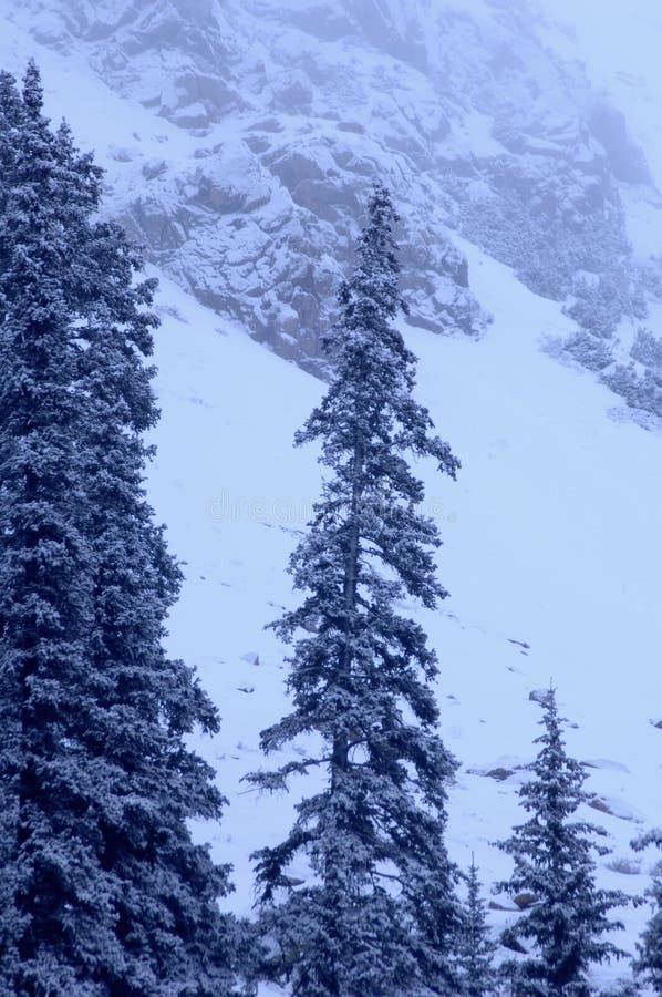 Snowy Mountain 1 stock photo. Image of environment, deep - 1482316