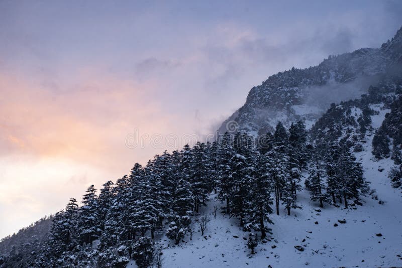 Snowy Mountain with Golden Hour Sunset Light Wallpaper Stock Image ...