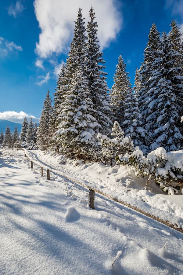 Snowy Mountain Path in Winter in Tatras Mountains Stock Image - Image ...