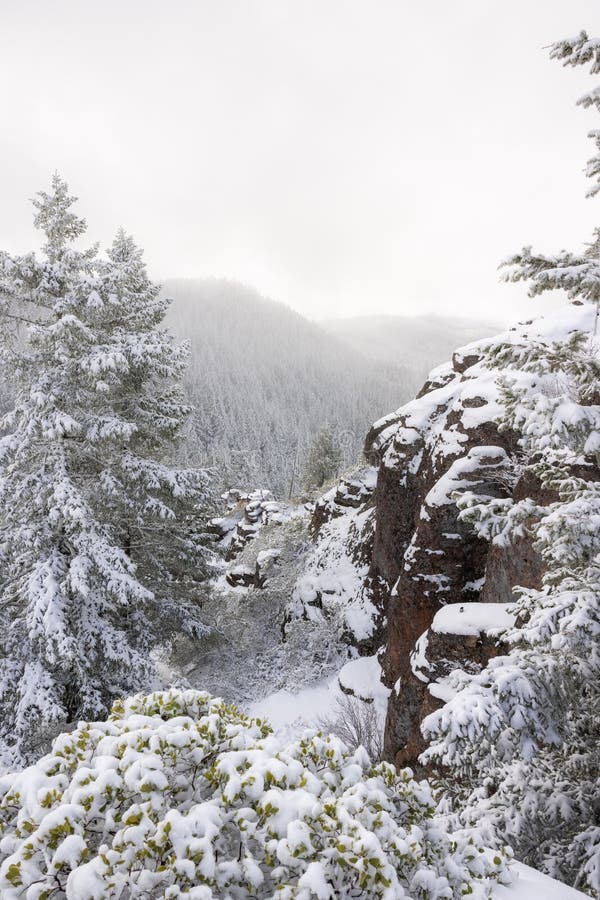 A Snowy Mountain Range with Trees Covered in Snow Stock Photo - Image ...
