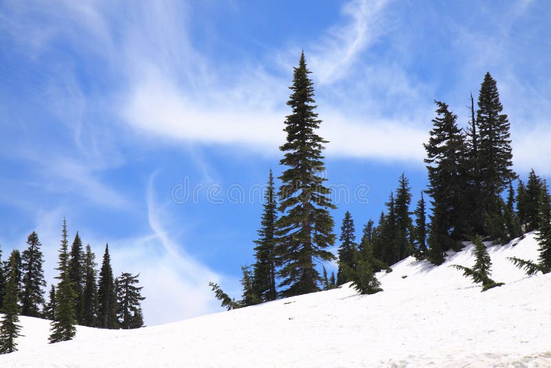 Snowy Mountain Ridge stock photo. Image of geology, conifers - 15151748