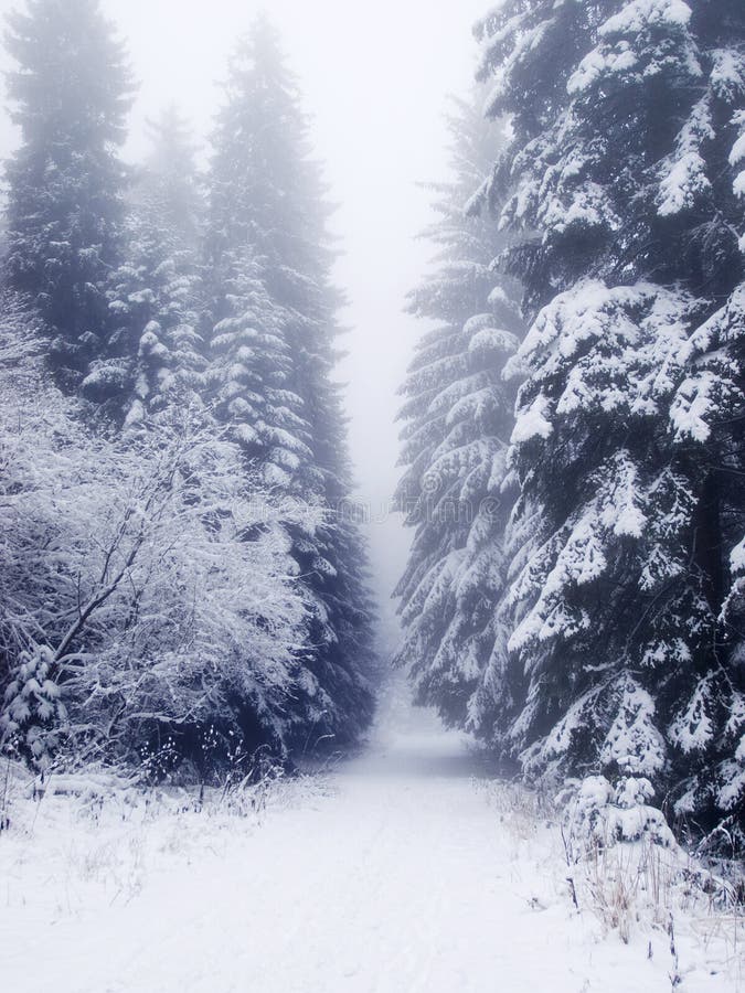 Snowy mountain stock image. Image of snow, colorful, vibrant - 49379885