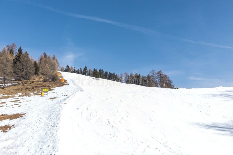 Snowy Mountain Slope with Pine Trees and Clear Blue Sky Stock Photo ...